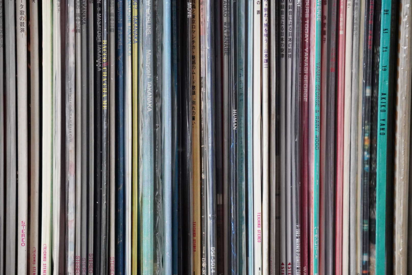 About – The Whipple Filter